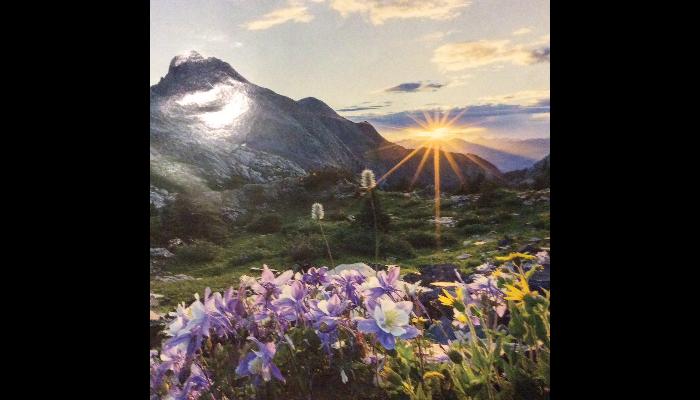 Free Crowdfunding Campaign: Taize by Tayzay C