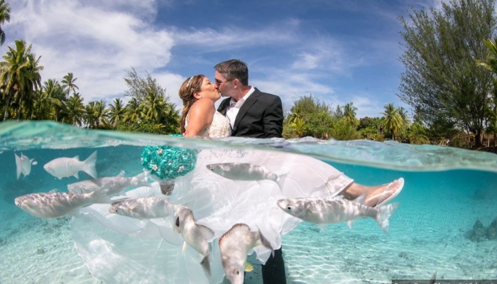 Free Crowdfunding Campaign: Help by Jennifer Wingard