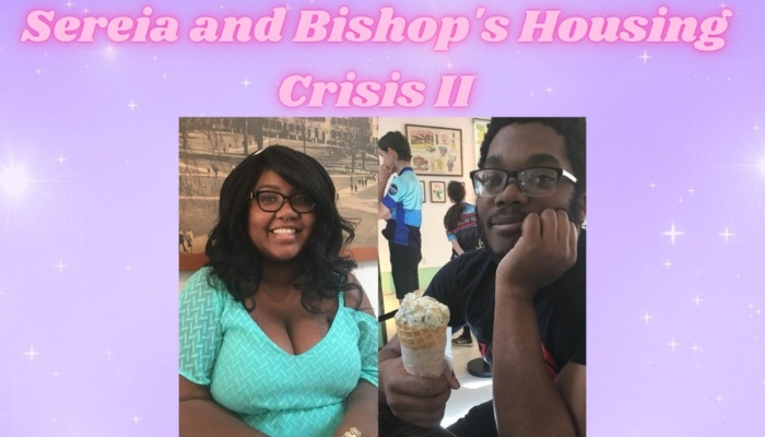 Free Crowdfunding Campaign: B&S Housing Crisis II by Sereia Spinner